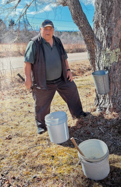 Willis Austin Steeves